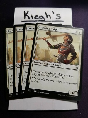 Mtg Pterodon Knight x4 | eBay