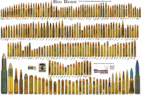 Big Bore Rifle Cartridge Chart Wall Poster Multiple Sizes 11x17-24x36 ...
