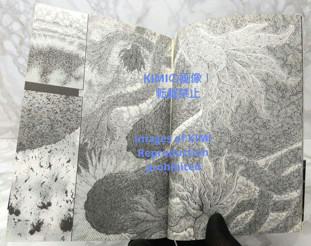 Rare First Edition 1st Printing Berserk 34 Comic Manga Book 2009 ...