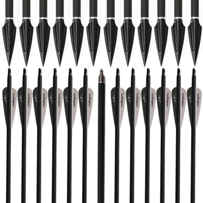 Archery 30" Carbon Arrows Practice & Hunting Arrowheads for Compound ...