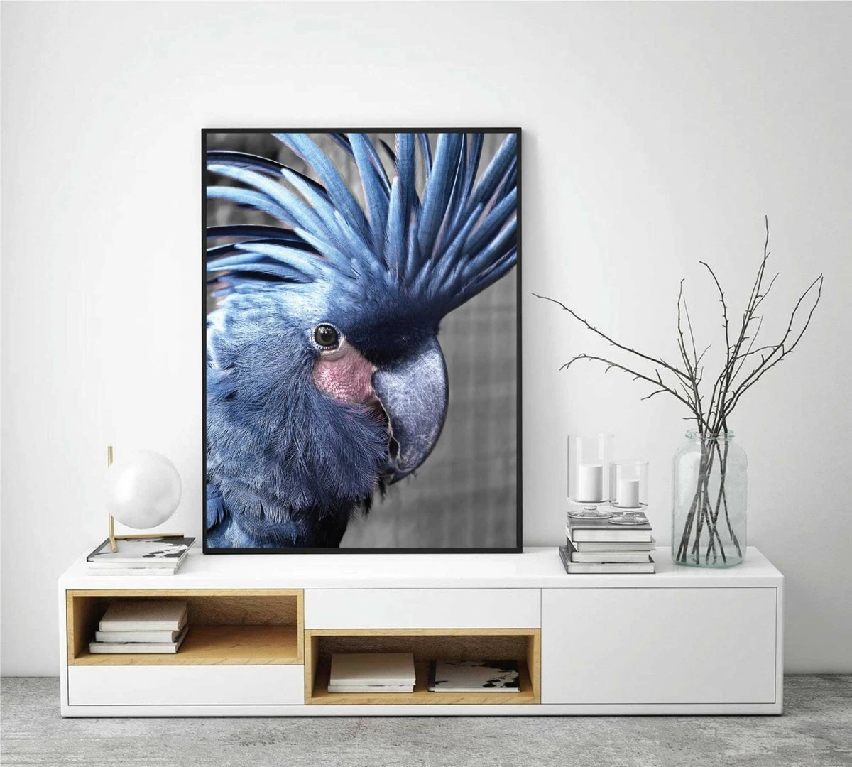 Blue Cockatoo