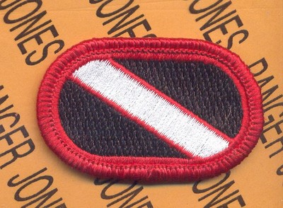 US Army 310th Psychological Operations Bn PSYOPS Airborne para oval ...