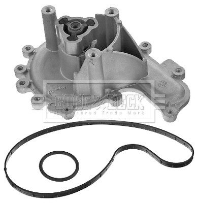 CAPSautomotive Water Pump for Fiat 9659248280 1609944880 | eBay
