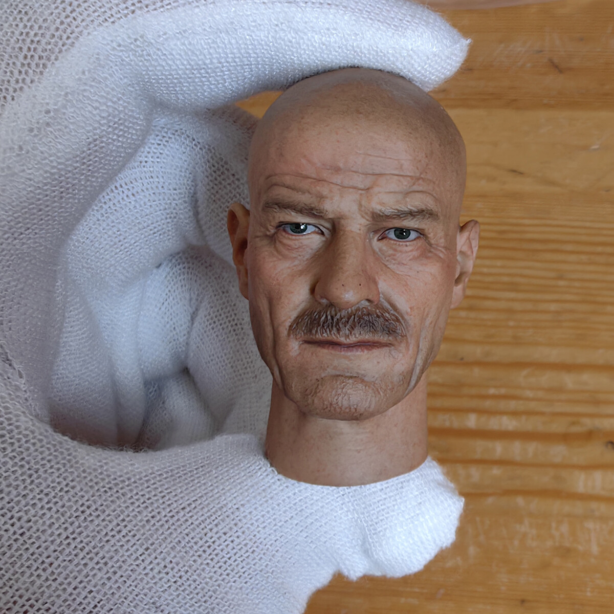 Bryan Cranston Was A Model