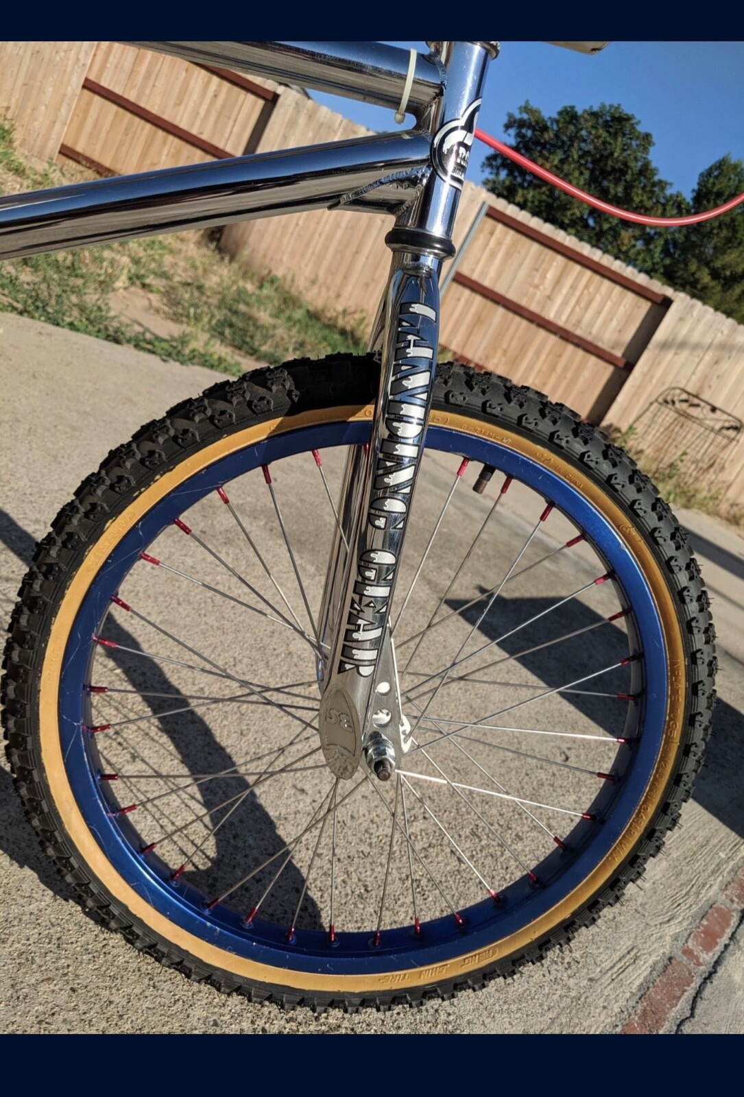 1991 SE Assassin BMX Bike 4130 Chromoly XL | eBay