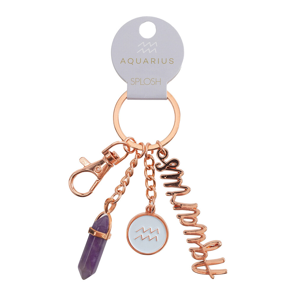 2x Splosh Mystique Rose Gold Aquarius Metal Keychain Zodiac Charm Key ...