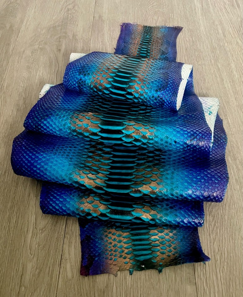 GENUINE SHORTFULL PYTHON SNAKE SKIN HIDE RARE COLOR 1.70 meter LONG ...