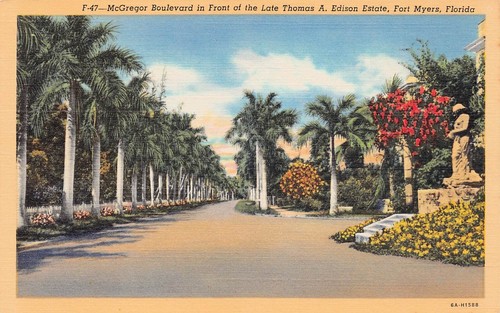 Fort Myers FL Florida Edison Ford Winter Estate McGregor Blvd Vtg ...