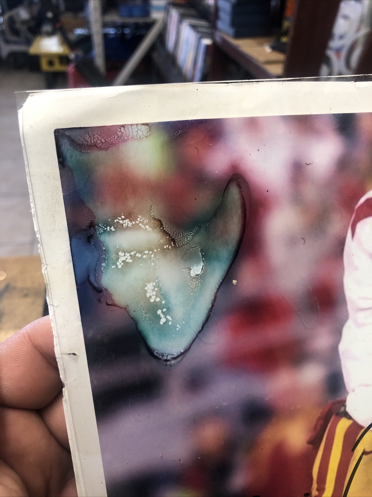 USC Trojans Reggie Bush #5 Signed Picture Signature Autograph | eBay