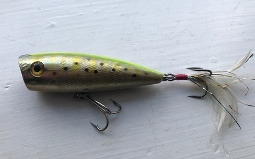 Lobina Lures Rico popper fishing lure | eBay