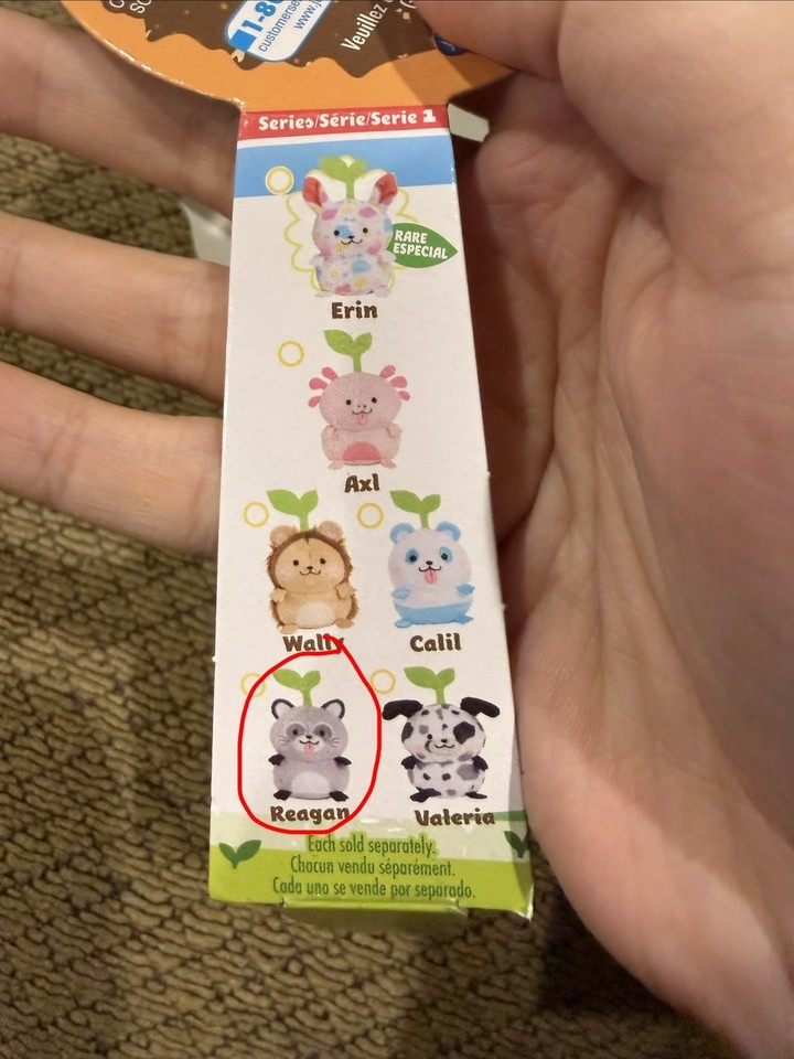 Sakuties Mini Plush Stuffed Animal Plant Shape Reagan Raccoon Open ...