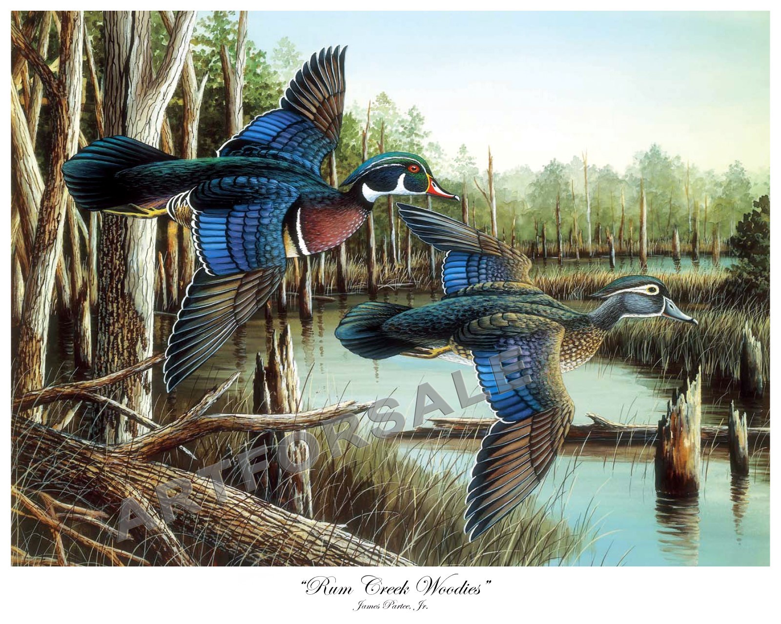 JAMES PARTEE JR WOODDUCK "RUM CREEK WOODIES" COLORFUL WATERFOWL 16x20 ...