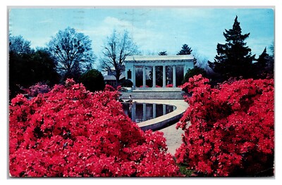1960s - Azalea In Soldiers & Sailors Memorial Mobile, Alabama Postcard ...