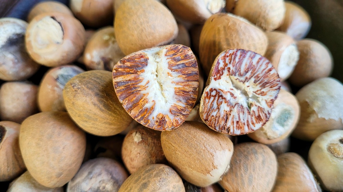 Areca Nut Doll Taiwan Dolls High Quality Toys For Kids & Collectors