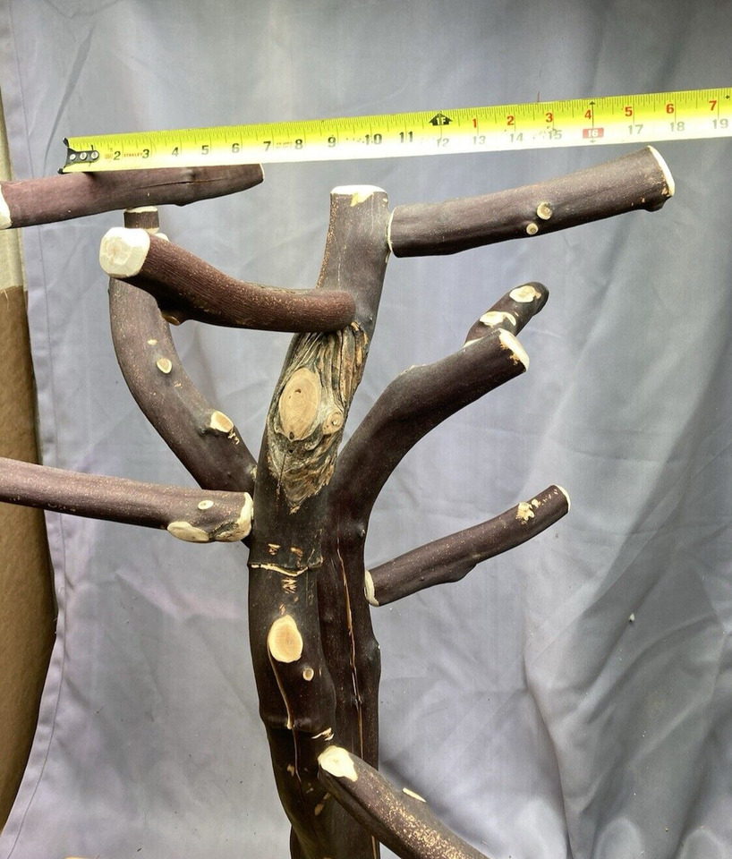 3FT Parrot African Grey Cockatoo MANZANITA Bird Stand Play Stand GYM ...