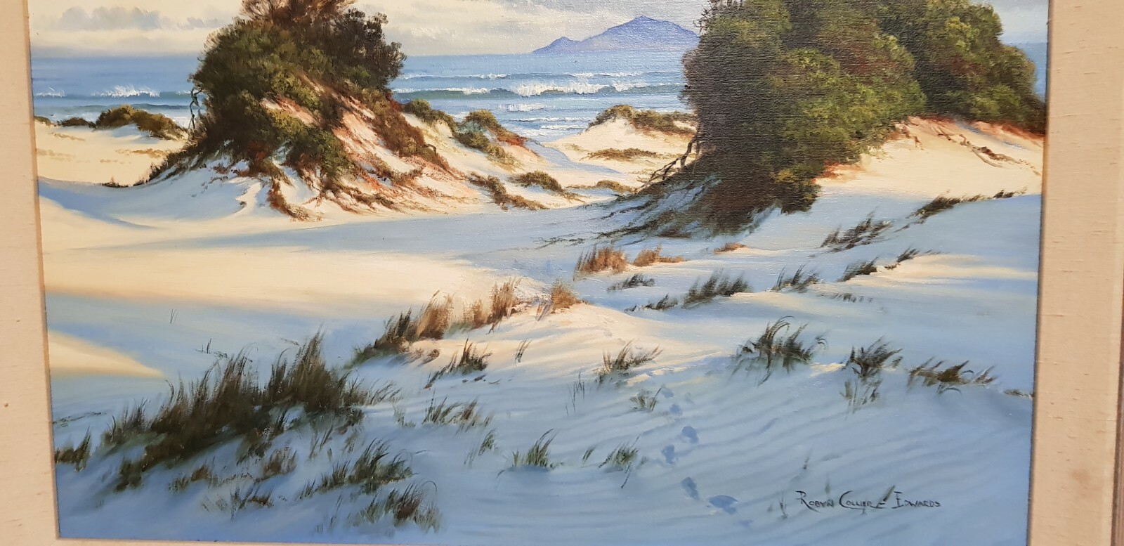 Robyn Collier large oil painting 45x60cm | eBay Australia