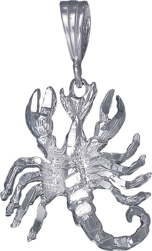 Sterling Silver Scorpion Charm Pendant Necklace Diamond Cut Finish with ...