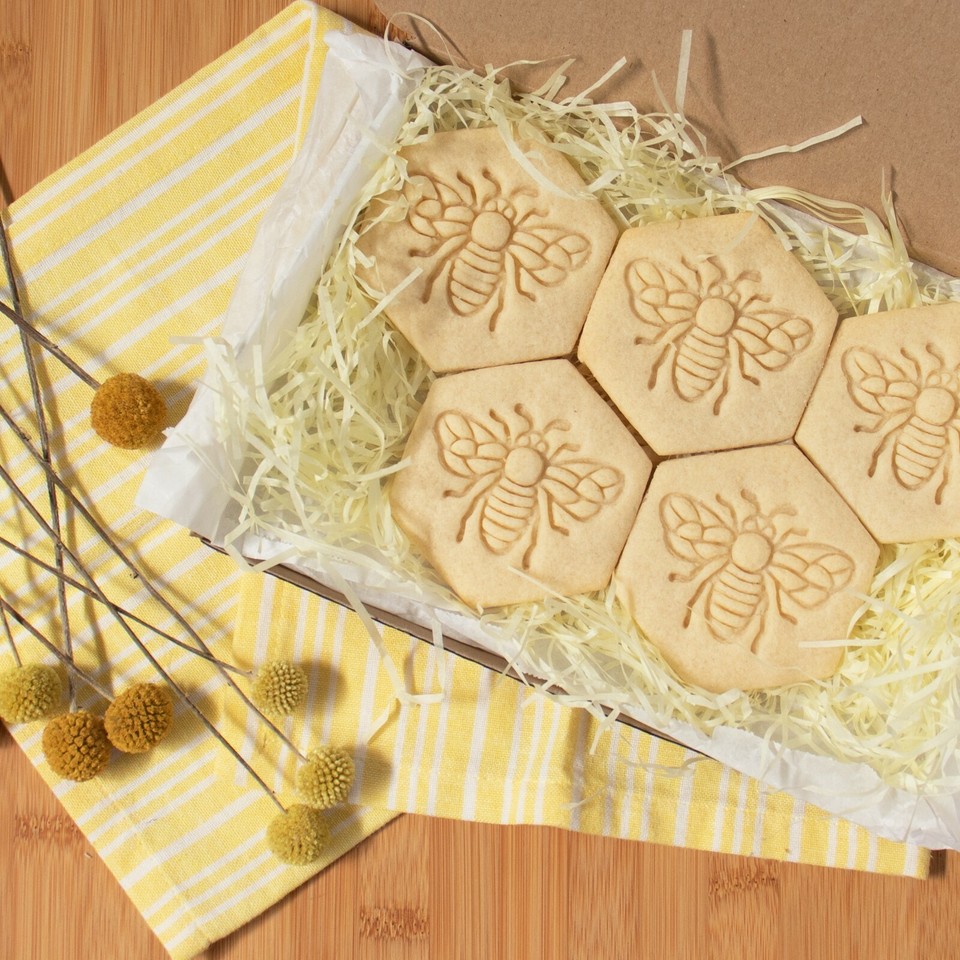 Honey Bee cookie cutter |Honeybee Bumblebee Bumble Anatomy pollen ...