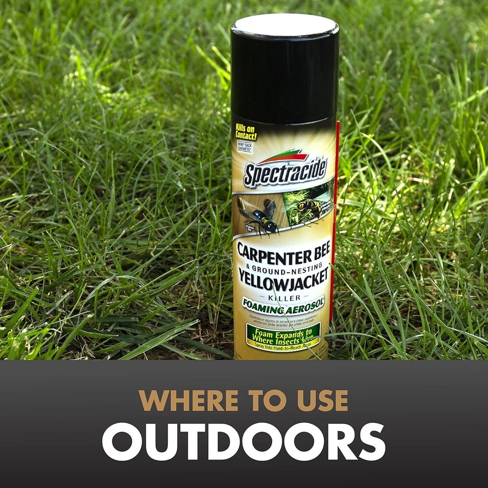 Spectracide Carpenter Bee & Nesting Yellowjacket Killer Spray 16Oz Each ...