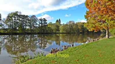 Photo 12x8 The Thames at Cliveden Maidenhead Court From the Cliveden ...