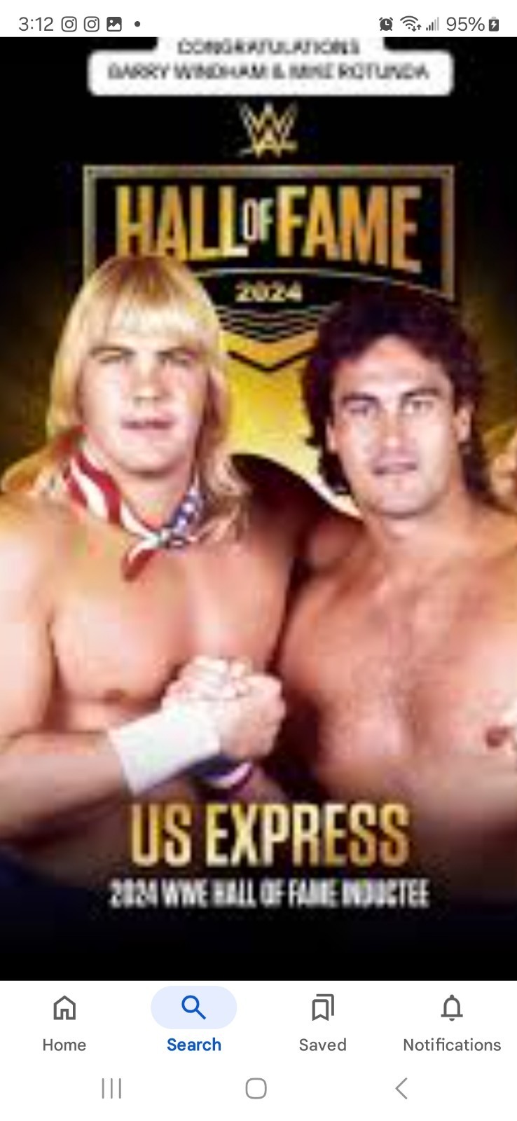 Wrestling's legends US Express Barry Windham & Mike Rotunda 6 DVD WwF ...