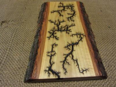 High Voltage Wood Slab Art Electrocuted Burned Wall Hangings Fractal ...