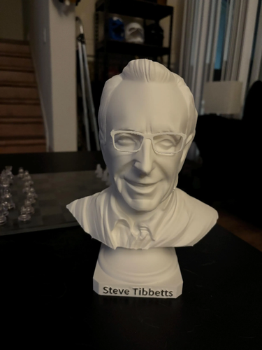 Customized 3D Bust Statue - Designed based on your Photo! | eBay