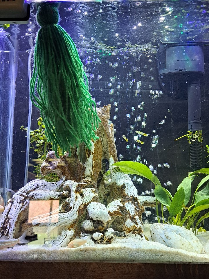 100% Acrylic Fish Spawning Mop - Handmade Floating Mops | eBay