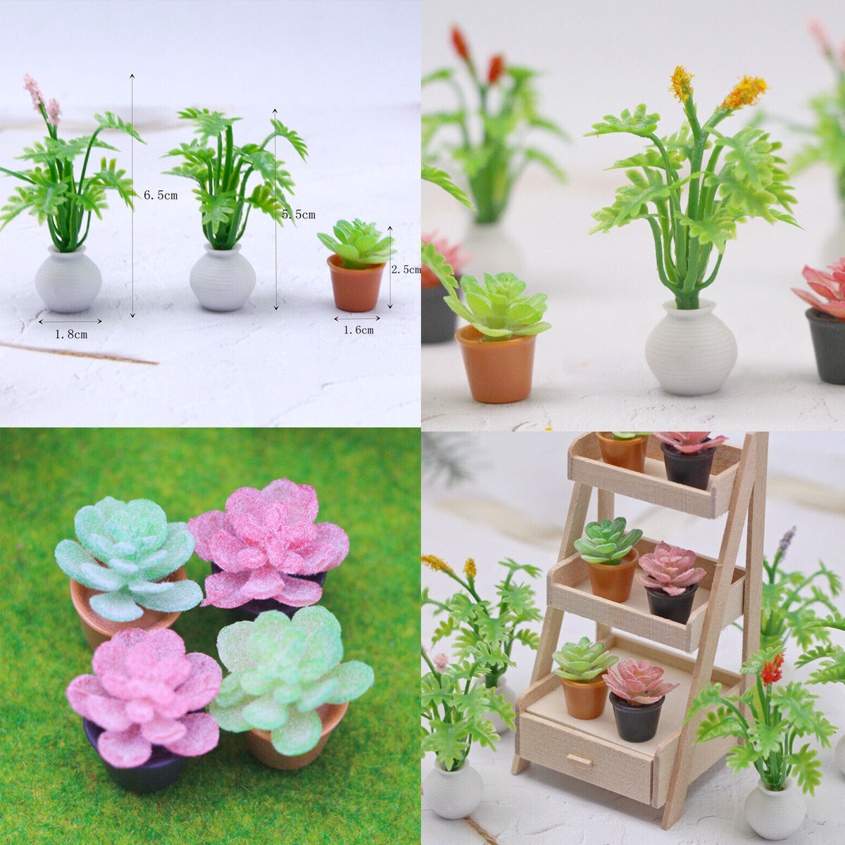 Miniature Plants And Flowers Miniature Plants Market Hi Res Stock