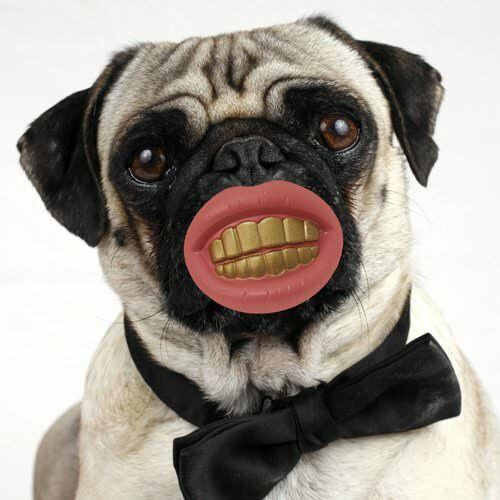 Thumbs Up! Pimp Dog Chew Toy | eBay