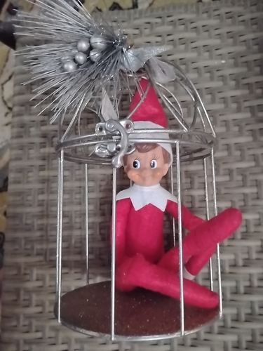 NEW ELF ON A SHELF IN A HANGING CAGE Blue Eyed BOY! | eBay