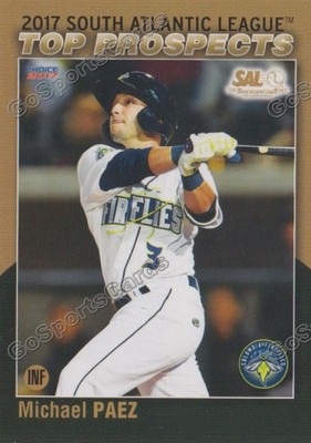 2017 South Atlantic League Top Prospects SAL Michael Paez RC Rookie NY ...