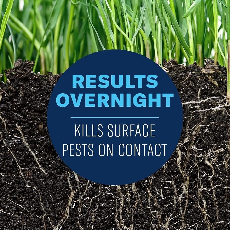 BioAdvanced 24 Hour Grub Killer Plus for Lawns,Ant,Tick,Insect Killer ...