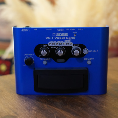 Boss VE-1 Vocal Echo Vocal Effect Processor | eBay