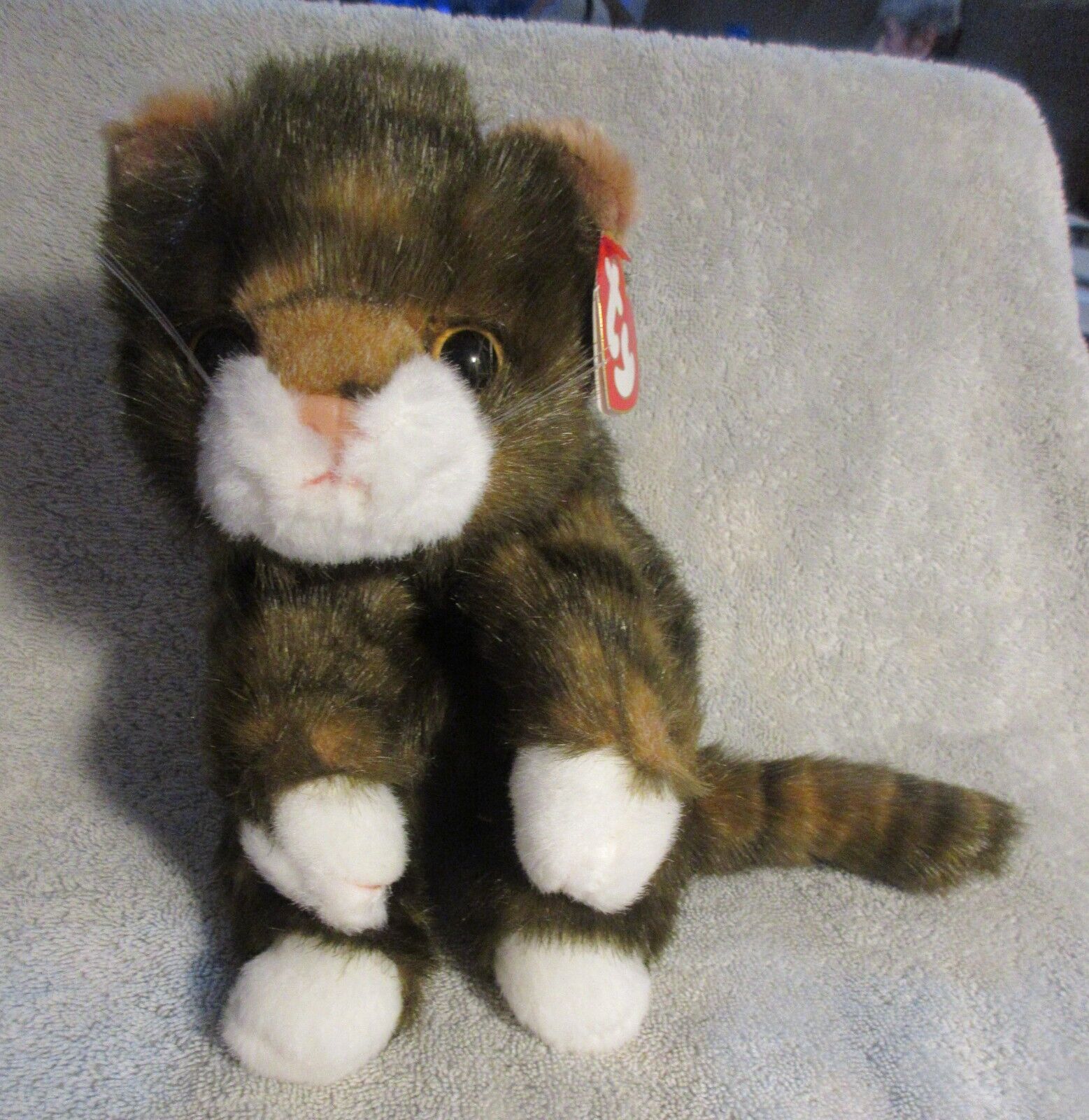 Ty Classic Spice The Cat Plush 15" Stuffed Animal 1997 Beanie Baby B1 ...