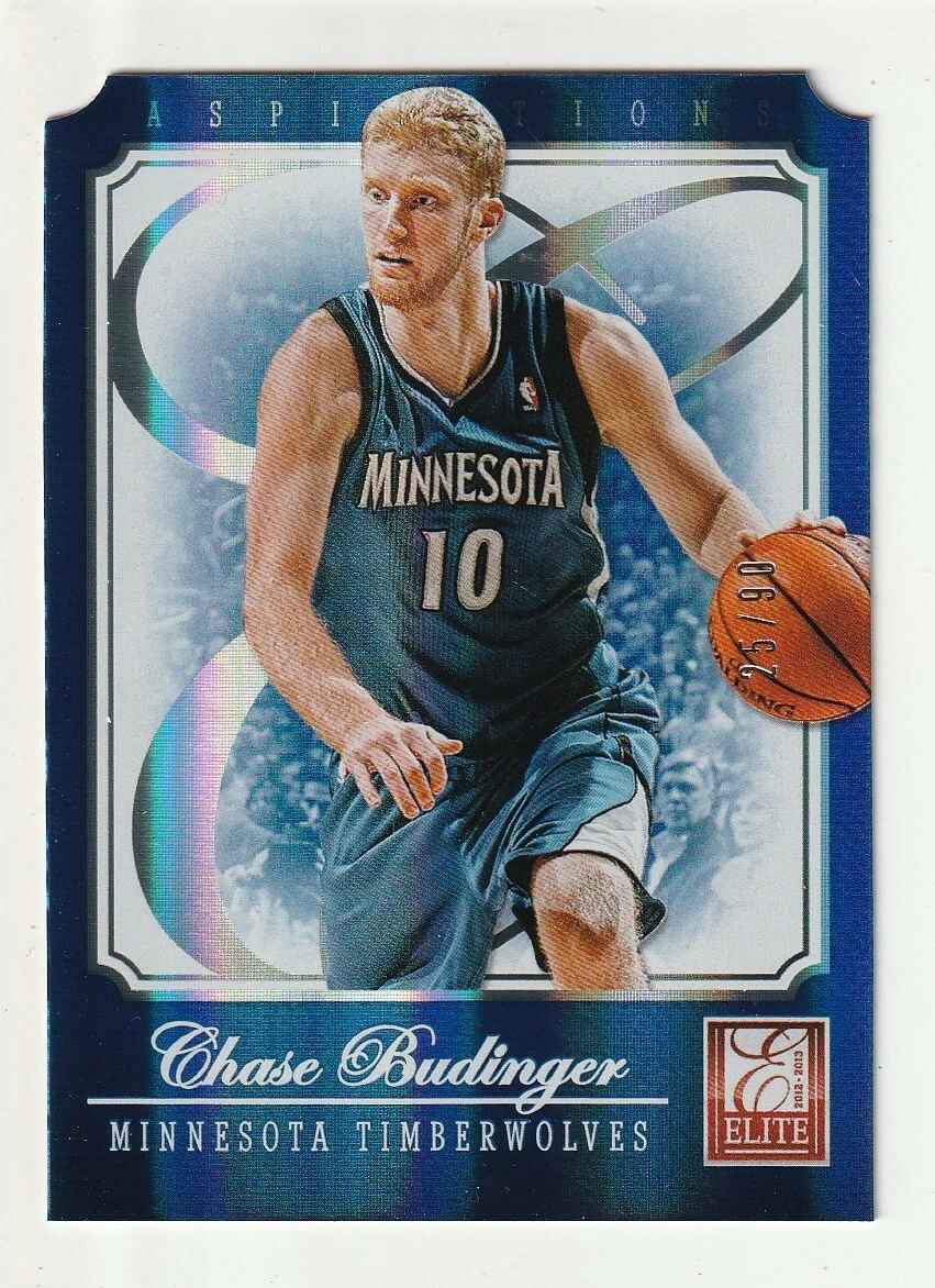 Chase Budinger Timberwolves
