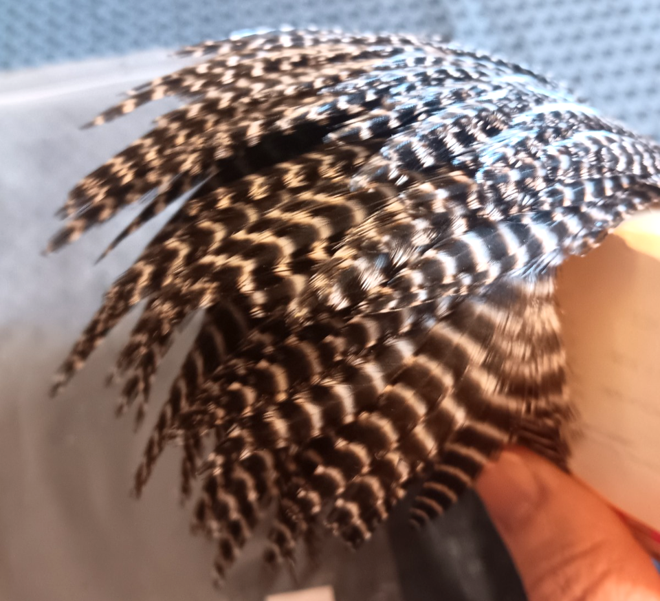 Premium Hen Capes-Lot of 2-Whiting Silver Grade Dark Grizzly and Blk ...