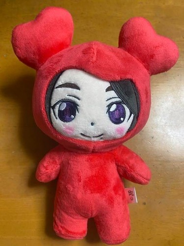 TWICE WORLD TOUR LIGHTS in Japan Official CHAEYOUNG CHAENGVELY Plush ...