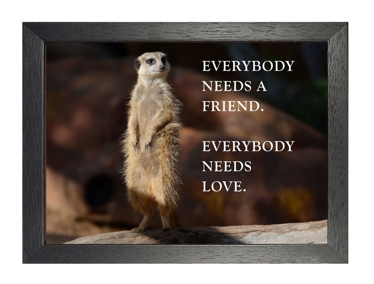 Very Funny Animal Quotes Animal Puns Funny Quotes Humour Vintage