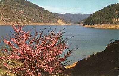 Postcard Trinity Lake California | eBay