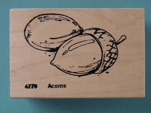 Realistic Acorns VISUAL IMAGE PRINTERY VIP Rubber Stamp | eBay