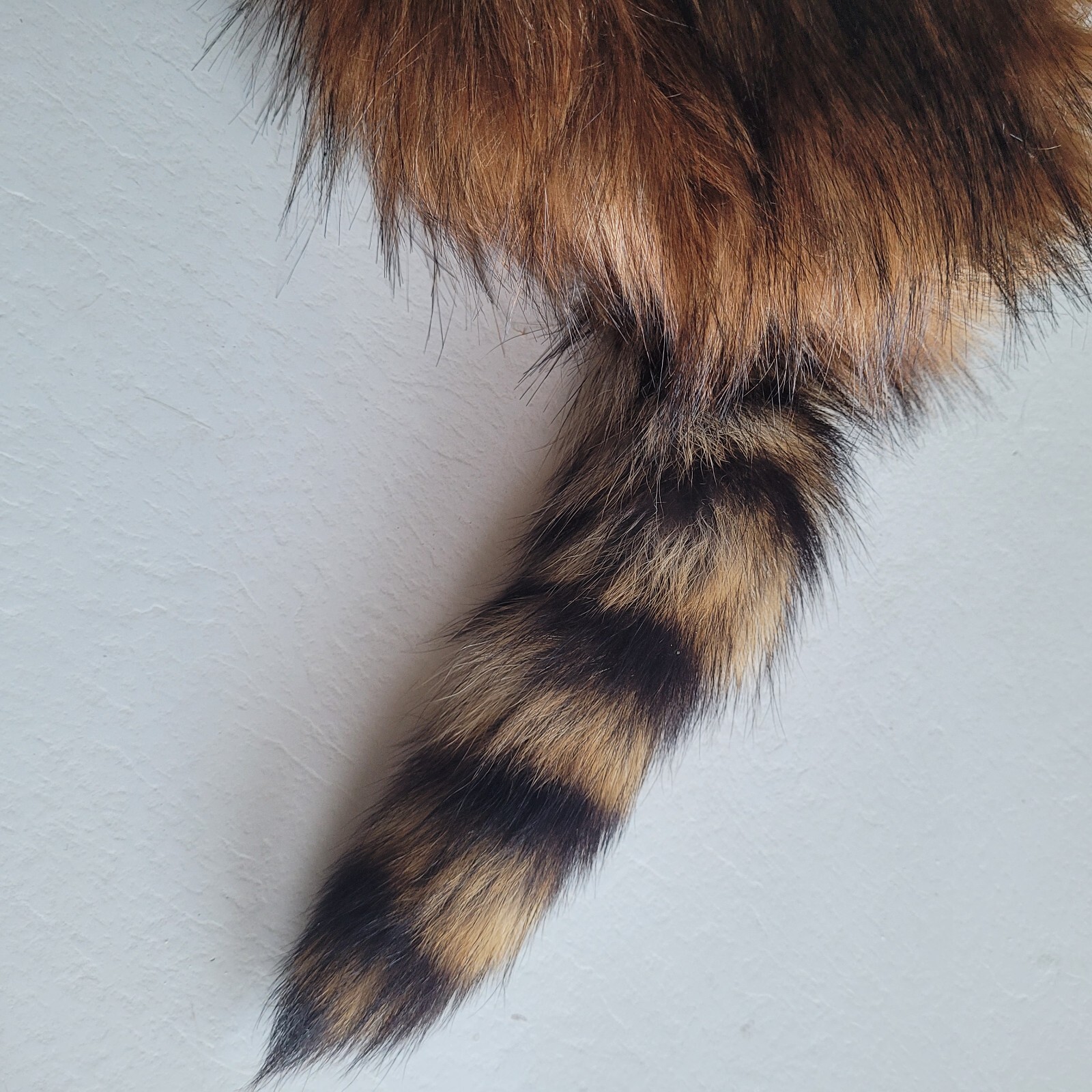 Plushy Coonskin Davey Crockett Cap Real Fur Tail Raccoon Coon Daniel ...