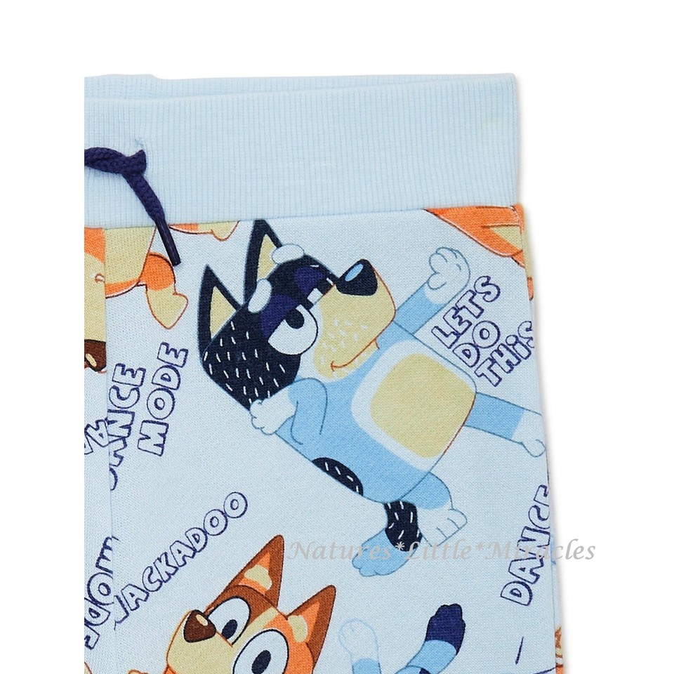 BLUEY Disney Hoodie Sweat Shirt Jogger Pants Boys 2T-4T Toddler Set ...