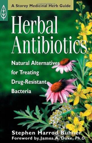 Herbal Antibiotics: Natural Alternatives for Treating Drug-Resistant ...