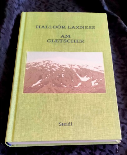 Am Gletscher Halldor Laxness Steidl gebunden NEU 2016 9783958291379 ...