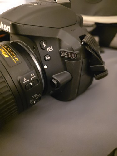 Nikon D5300 Digital SLR Camera Body Only Black (24.2 MP) 3.2 inch LCD ...