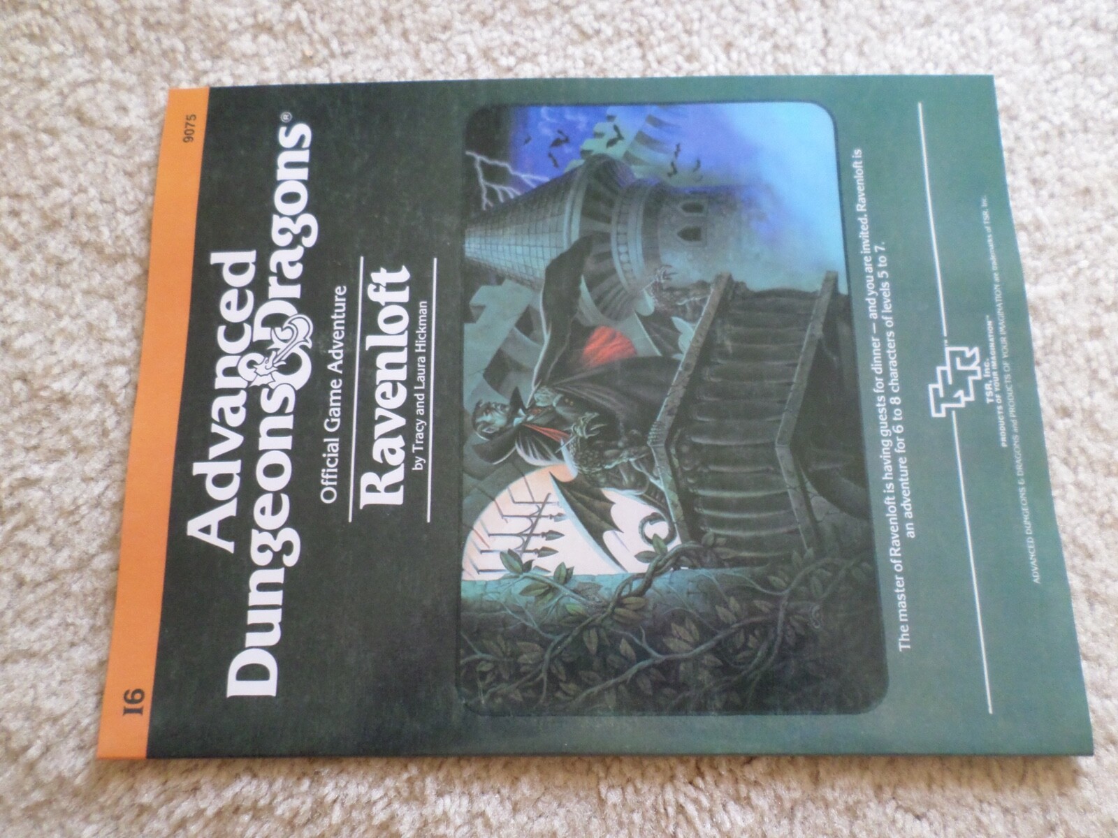 Ravenloft adventure module I6 Dungeons & Dragons | eBay