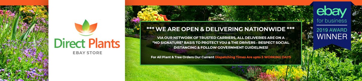 DIRECT PLANTS | eBay Stores