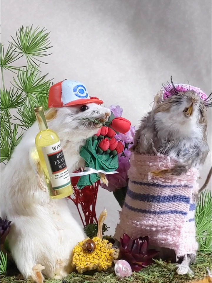 Q97 Mice Couple Taxidermy Display "He done messed up" Oddities ...