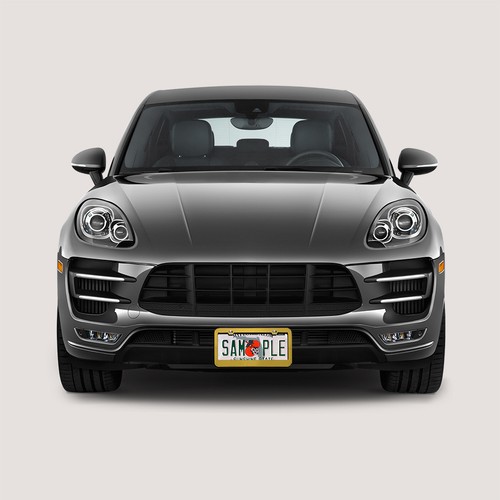 My Other Ride Is A Snowboard Black Steel Metal License Plate Frame | eBay